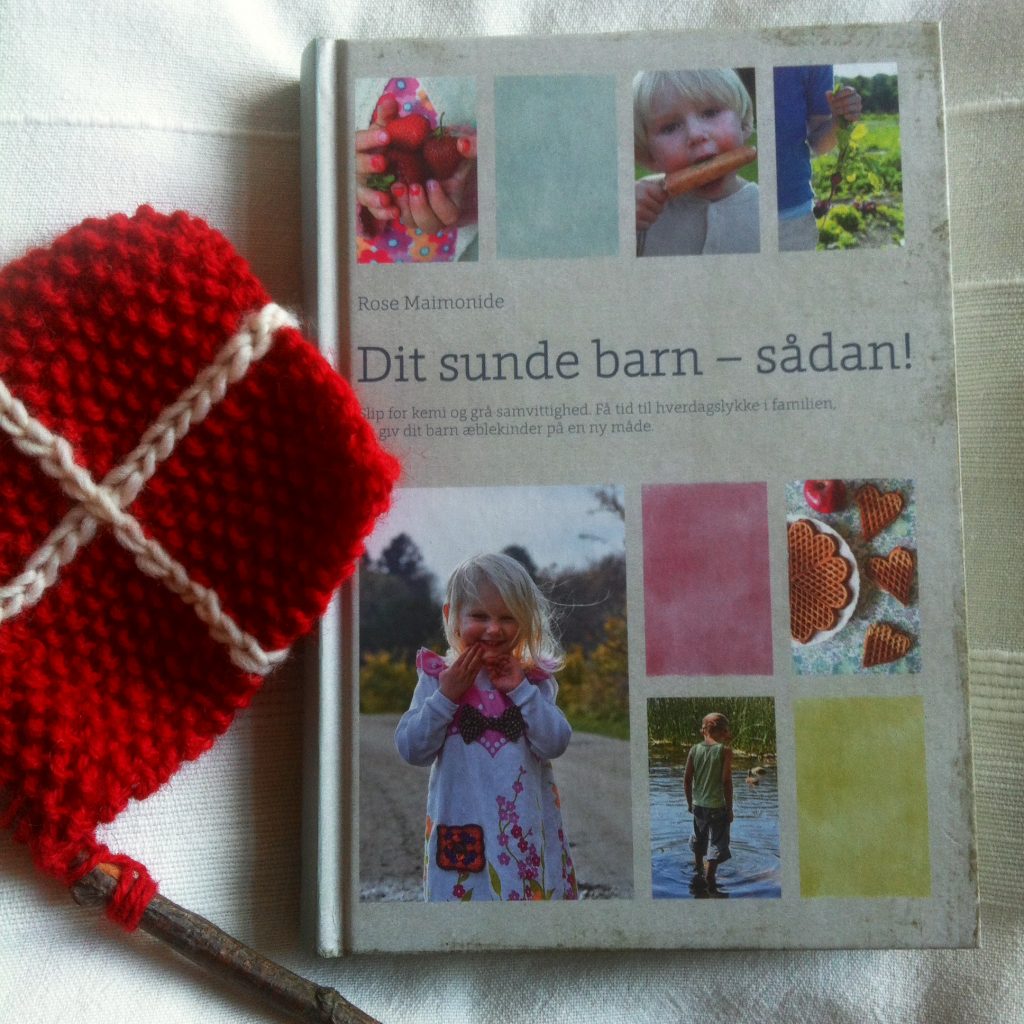 bog med flag - Rose Maimonide